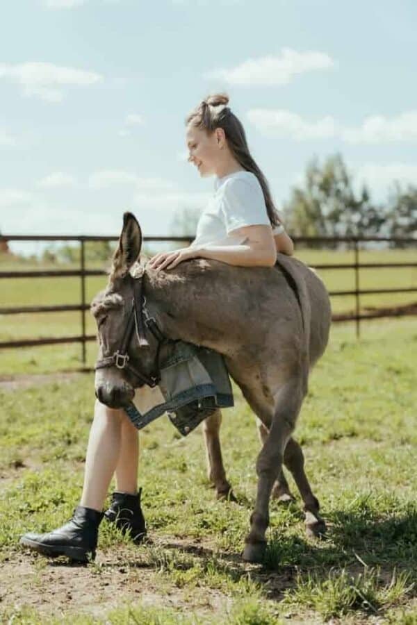 7 Reasons Why a Donkey is the Ideal Hiking Companion